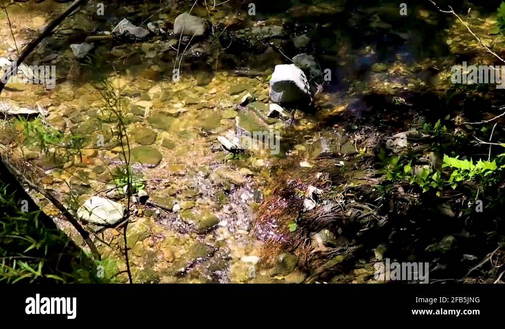 Stream cascades down Stock Videos & Footage - HD and 4K Video Clips - Alamy