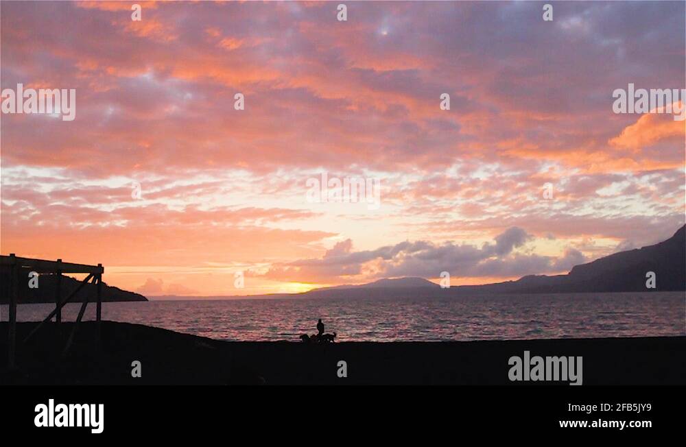 Pinky orange Stock Videos & Footage - HD and 4K Video Clips - Alamy