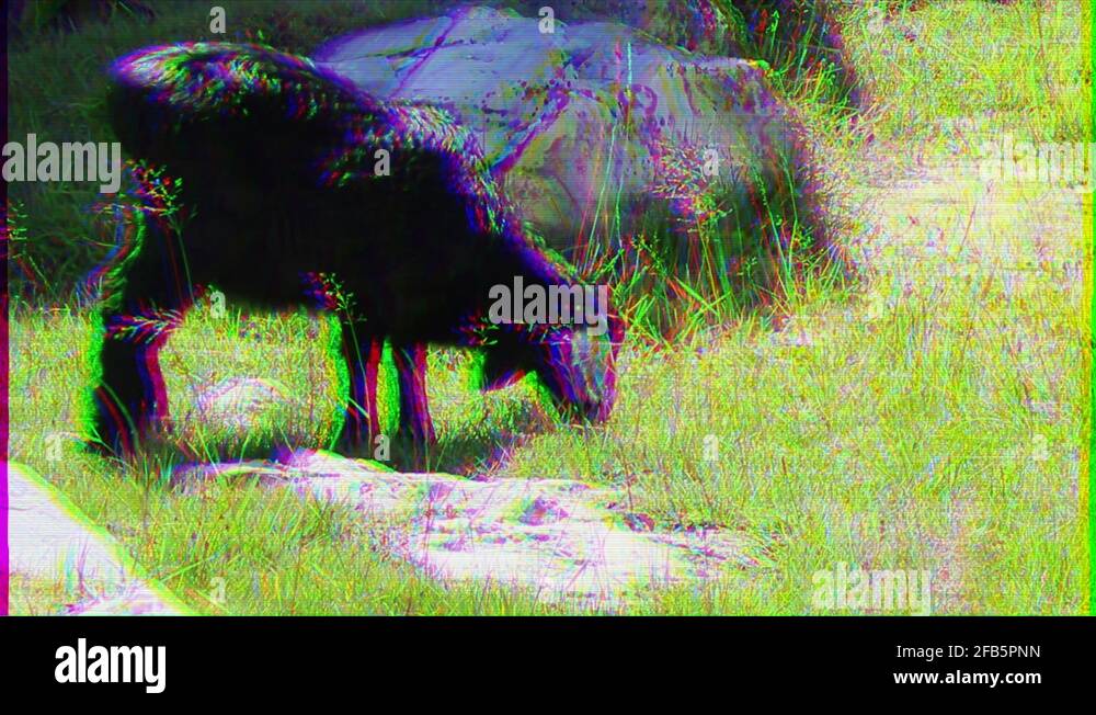Effect black Stock Videos & Footage - HD and 4K Video Clips - Alamy