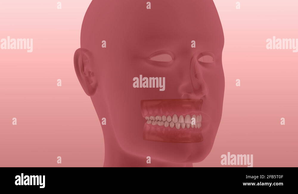 Losing molar tooth. 3D animation of human teeth and dentures concept ...
