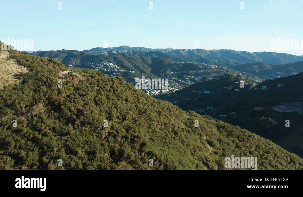 Suburb of wellington Stock Videos & Footage - HD and 4K Video Clips - Alamy