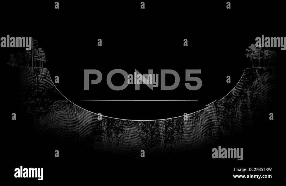 Swamp black and white Stock Videos & Footage - HD and 4K Video Clips ...