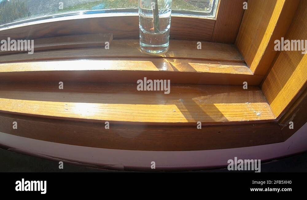 Looking out window orchard farm, rose in window sill Stock Video ...