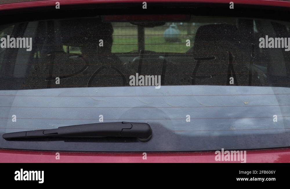 Pollen on car Stock Videos & Footage - HD and 4K Video Clips - Alamy
