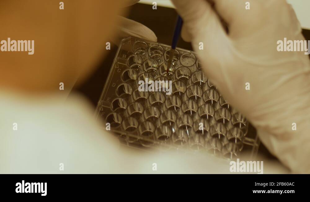 Shots filmed in a biomedical research laboratory during a real ...