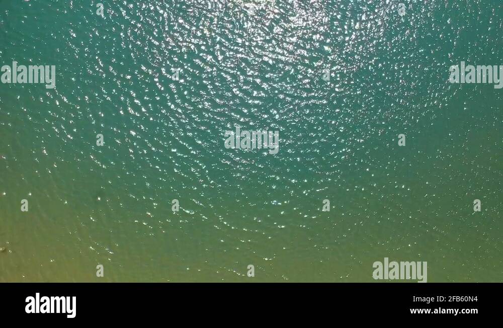 Swim away Stock Videos & Footage - HD and 4K Video Clips - Alamy