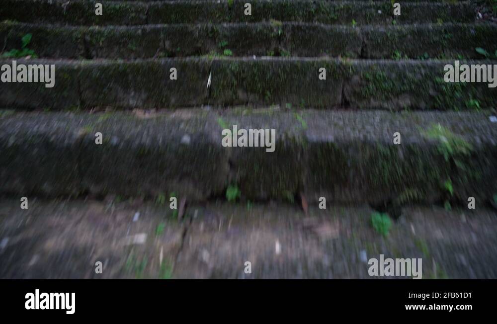 Mossy temple Stock Videos & Footage - HD and 4K Video Clips - Alamy