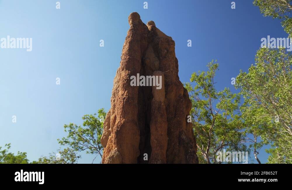 Rotation view of the top of a tall termite house hill, with sun flare ...