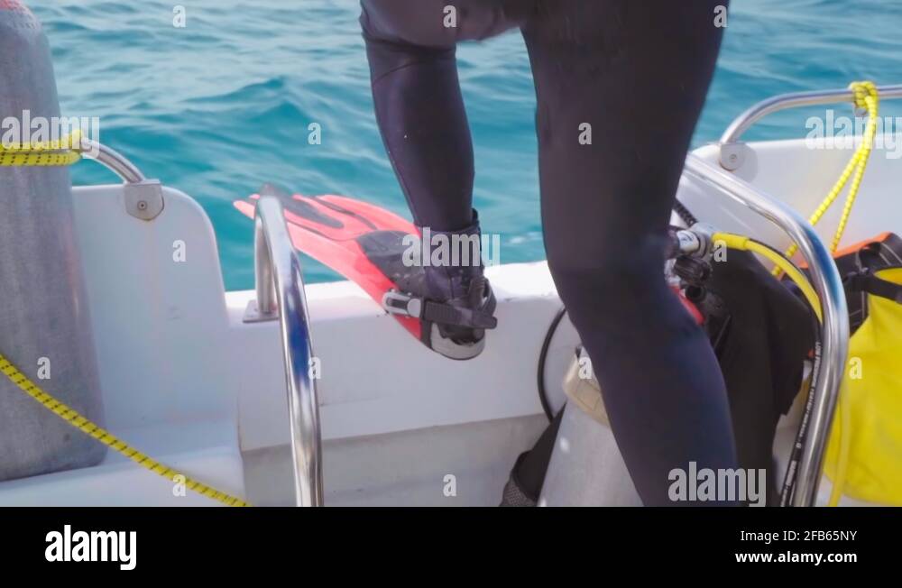 Steps in fins Stock Videos & Footage - HD and 4K Video Clips - Alamy