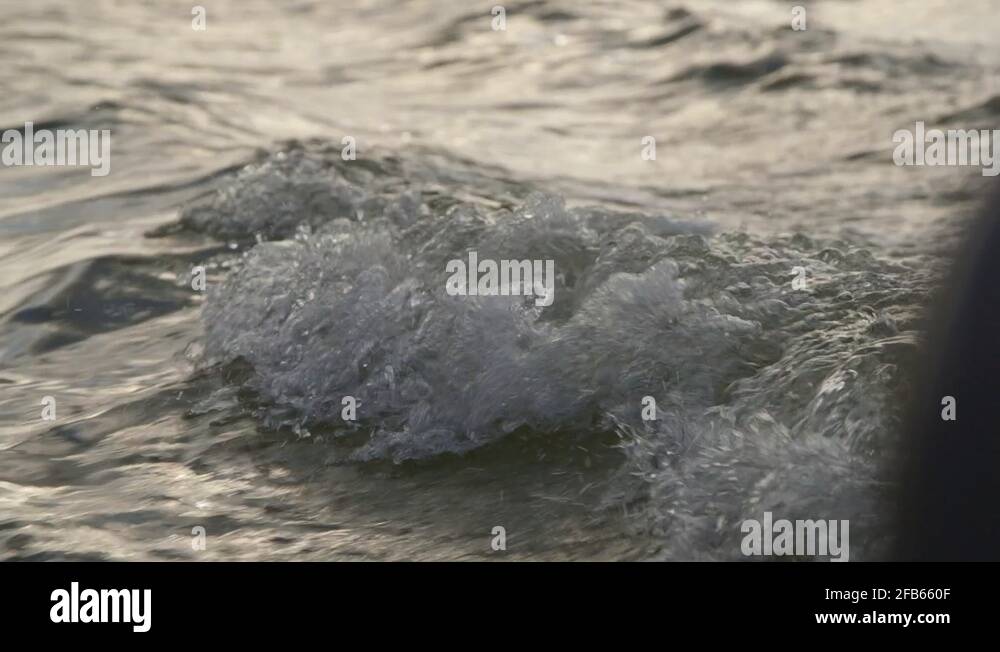 Bass splashing Stock Videos & Footage - HD and 4K Video Clips - Alamy