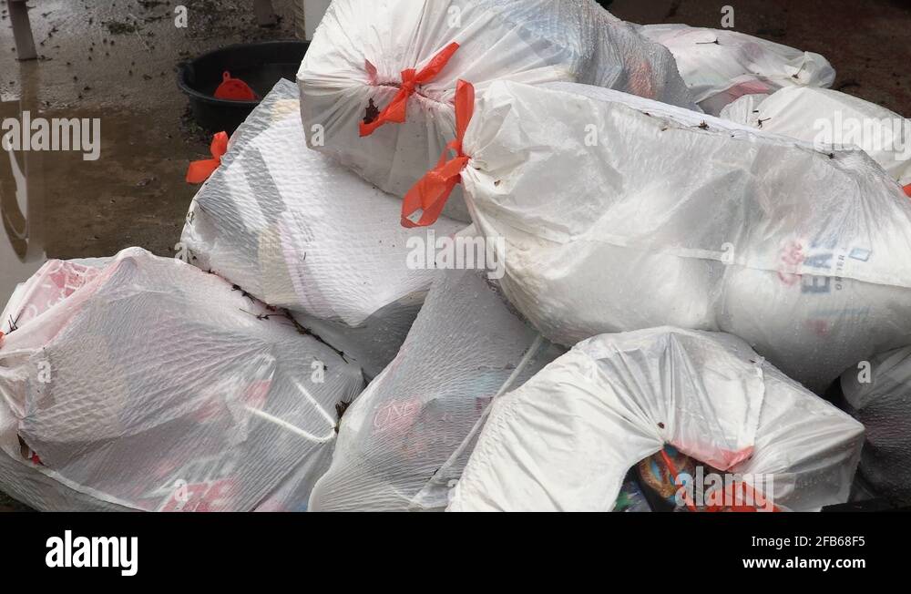 Trash thrown on ground Stock Videos & Footage - HD and 4K Video Clips ...