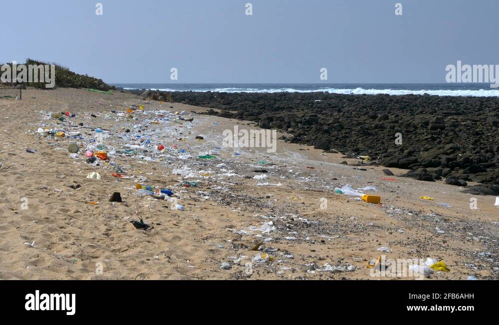 Garbage container on sandy Stock Videos & Footage - HD and 4K Video ...