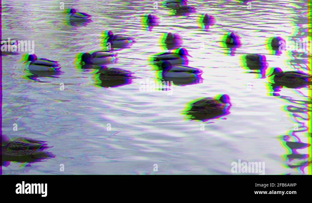 Effect on fauna Stock Videos & Footage - HD and 4K Video Clips - Alamy