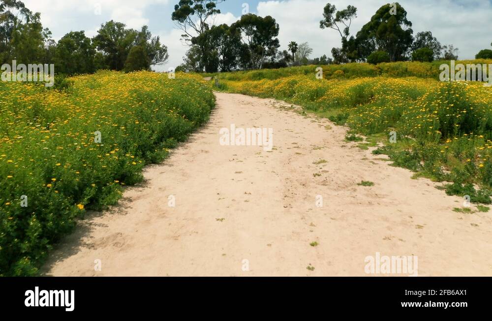 Path through fields Stock Videos & Footage - HD and 4K Video Clips - Alamy