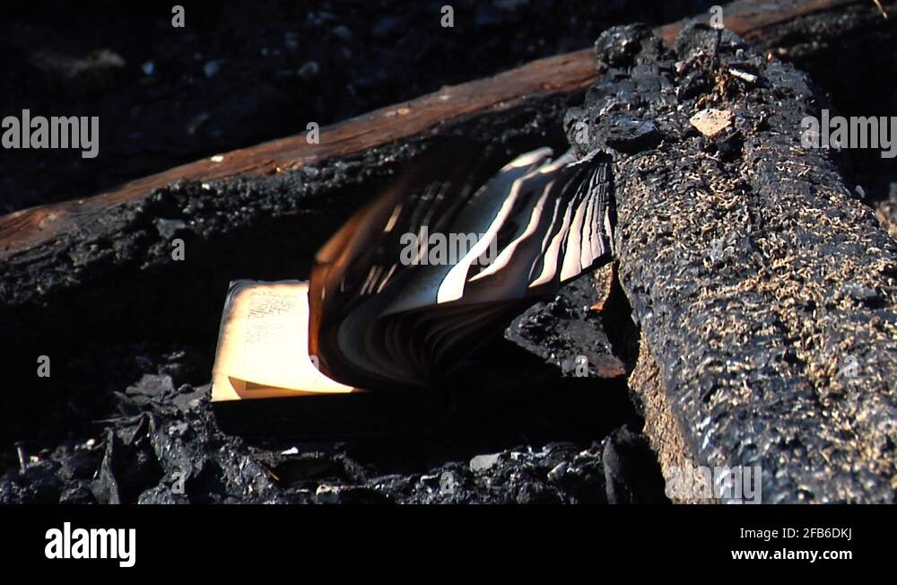 Gone book cover Stock Videos & Footage - HD and 4K Video Clips - Alamy