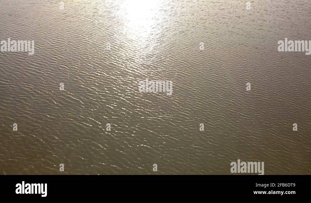 Ariel view duck Stock Videos & Footage - HD and 4K Video Clips - Alamy