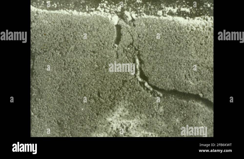 Soil cross section worms Stock Videos & Footage - HD and 4K Video Clips ...