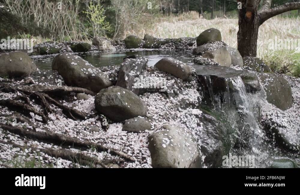 Flowing water feature Stock Videos & Footage - HD and 4K Video Clips ...