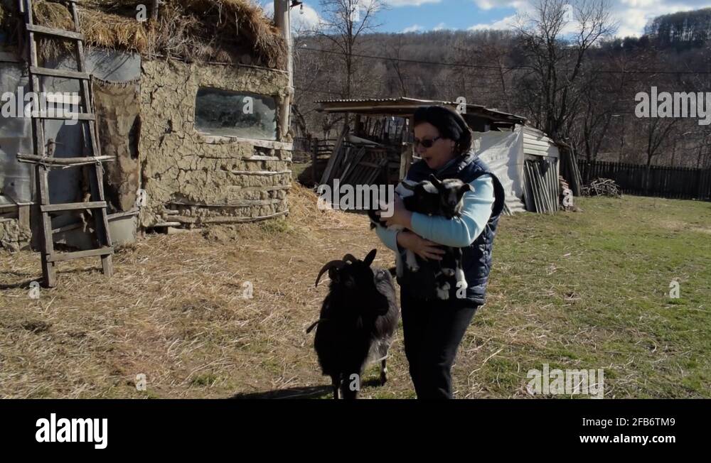 Carrying goats Stock Videos & Footage - HD and 4K Video Clips - Alamy