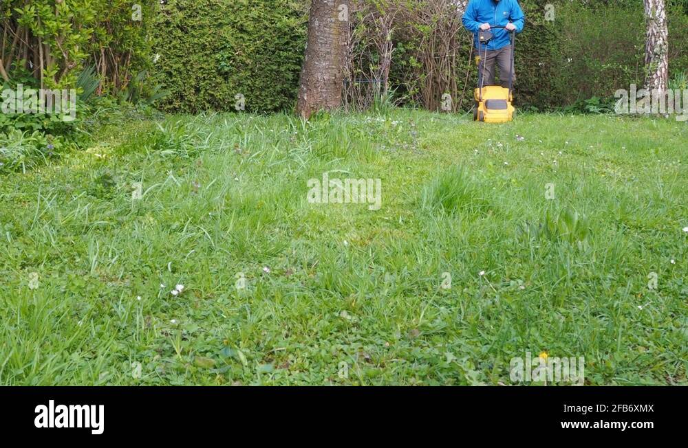 Male gardener pushing the lawn mower and cutting grass in the garden ...