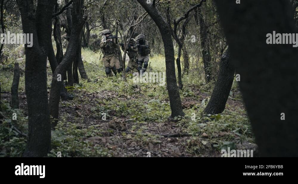 Squad of fully armed commando soldiers during combat in a forest ...