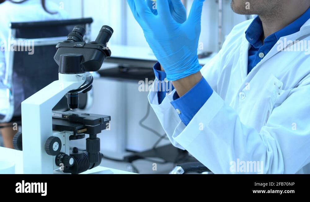 Scientist observing behavior experiment animals in lab Stock Video ...