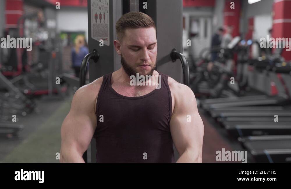 Male bodybuilder in sitting on Stock Videos & Footage - HD and 4K Video ...