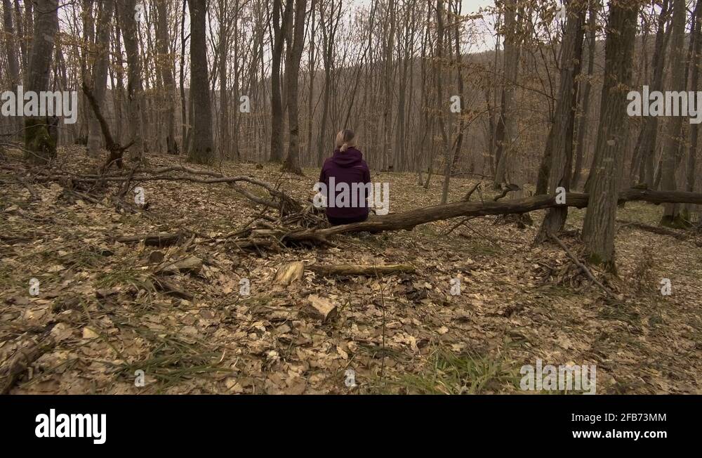 Predator stalking prey Stock Videos & Footage - HD and 4K Video Clips ...