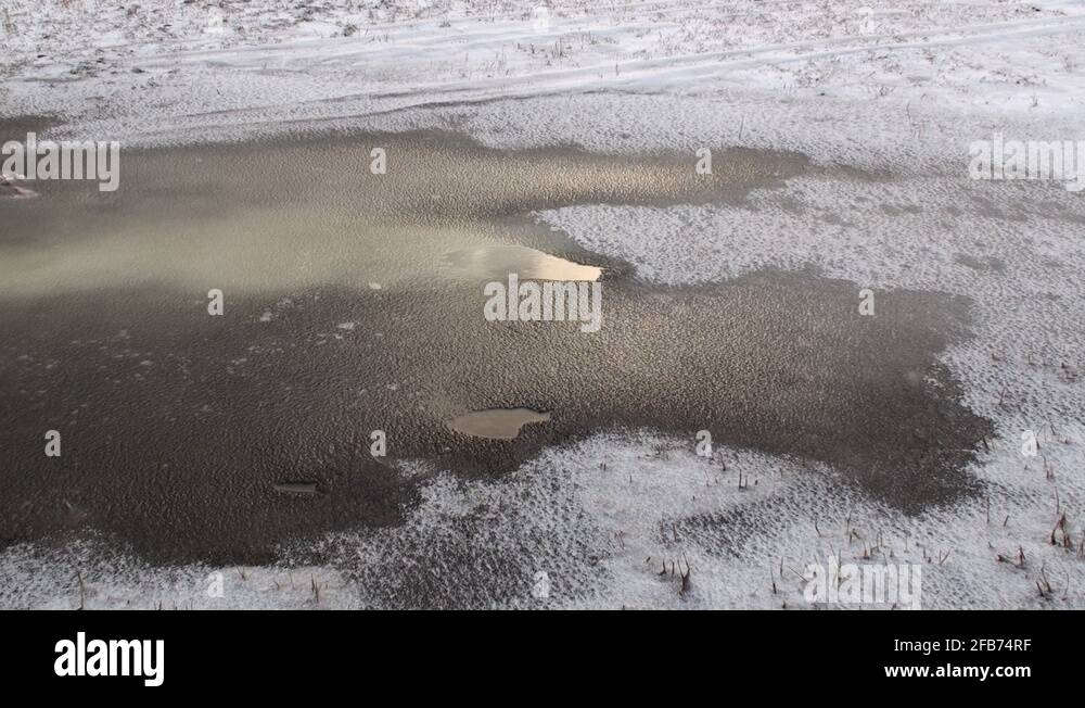 Frozen puddle Stock Videos & Footage - HD and 4K Video Clips - Alamy