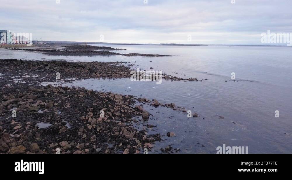 Galway birds Stock Videos & Footage - HD and 4K Video Clips - Alamy
