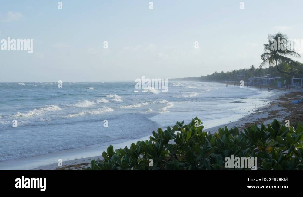 Side view angle shot Stock Videos & Footage - HD and 4K Video Clips - Alamy