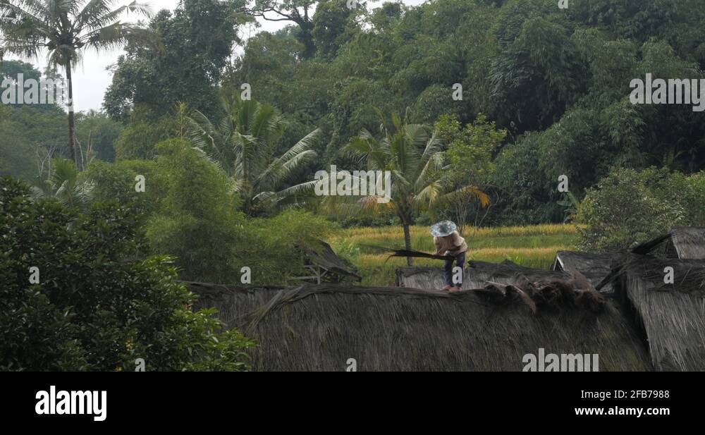 Traditional roof cover Stock Videos & Footage - HD and 4K Video Clips ...