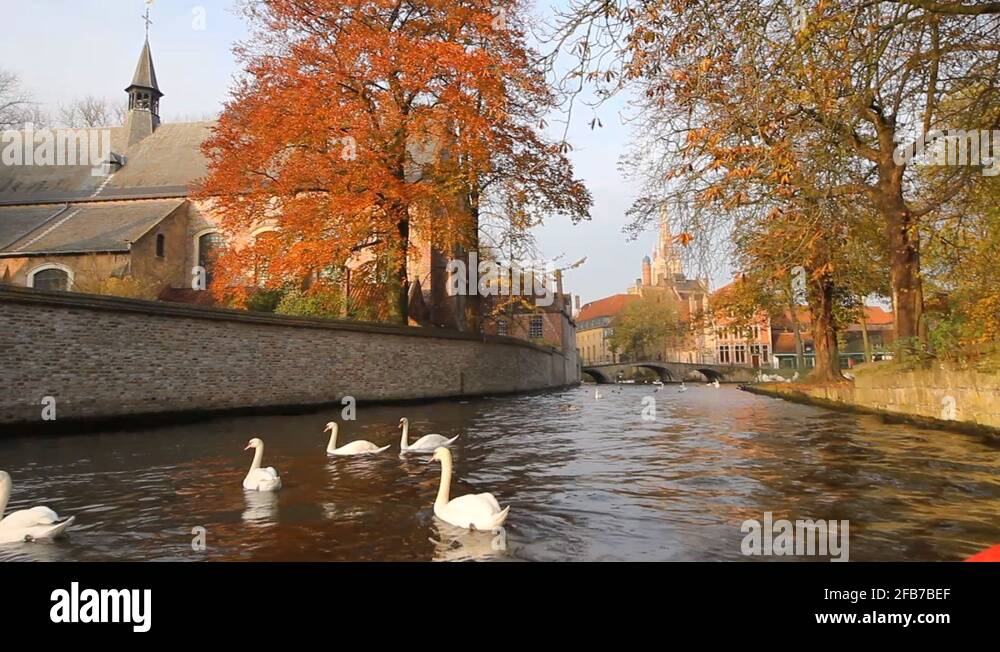 Bruges belgium trees water Stock Videos & Footage - HD and 4K Video ...