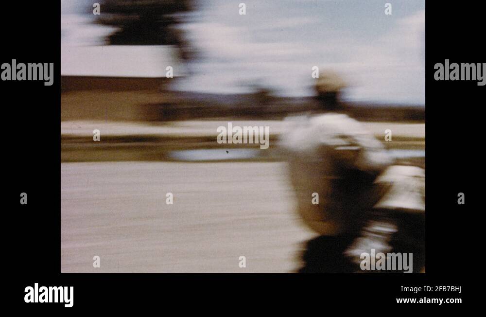 Ostrich and man Stock Videos & Footage - HD and 4K Video Clips - Alamy