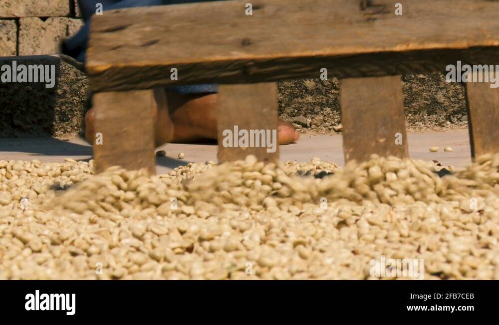 Grain drying process Stock Videos & Footage - HD and 4K Video Clips - Alamy