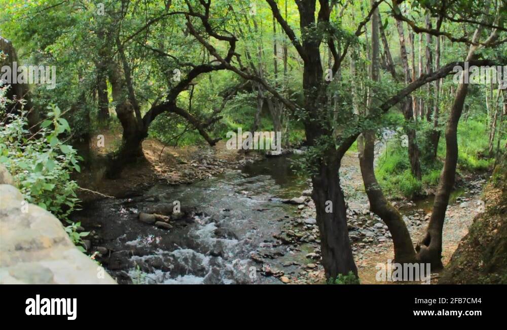 Enchanted river Stock Videos & Footage - HD and 4K Video Clips - Alamy