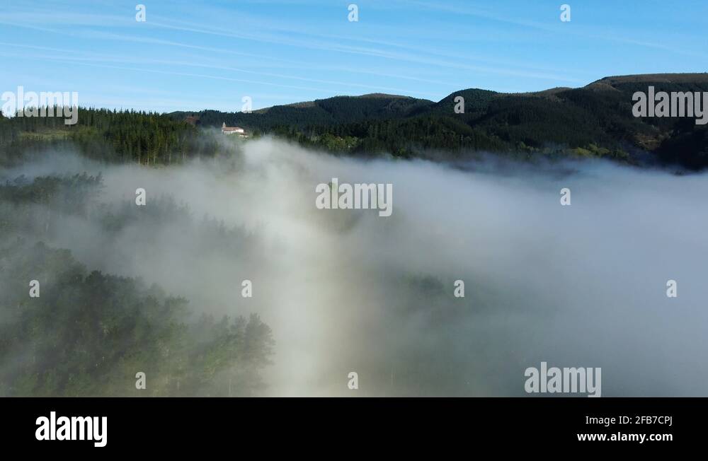 Breathtaking trees Stock Videos & Footage - HD and 4K Video Clips - Alamy