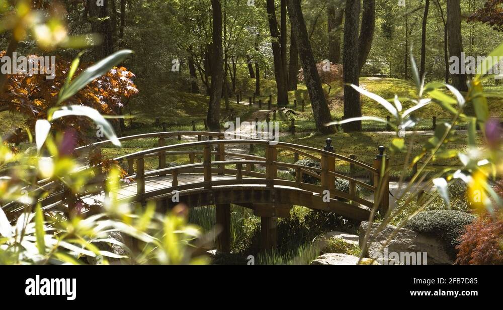 Japanese bridge at the japanese garden Stock Videos & Footage - HD and ...