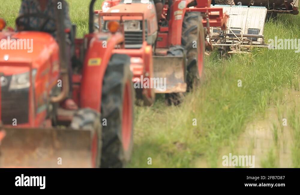 Rice Tractor in Rice Field All Kind of Rice Tractor in Rice Field Stock ...