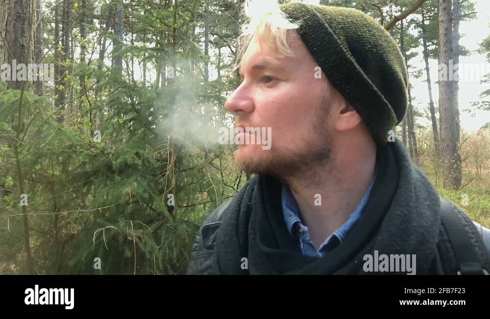 Cigarette forest Stock Videos & Footage - HD and 4K Video Clips - Alamy