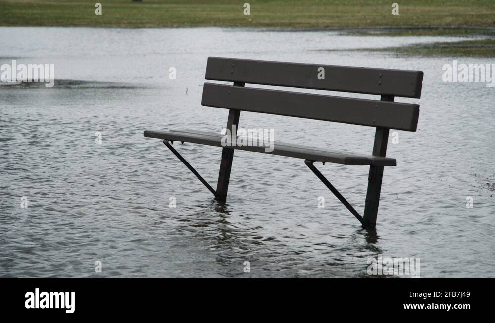 Ark bench Stock Videos & Footage - HD and 4K Video Clips - Alamy