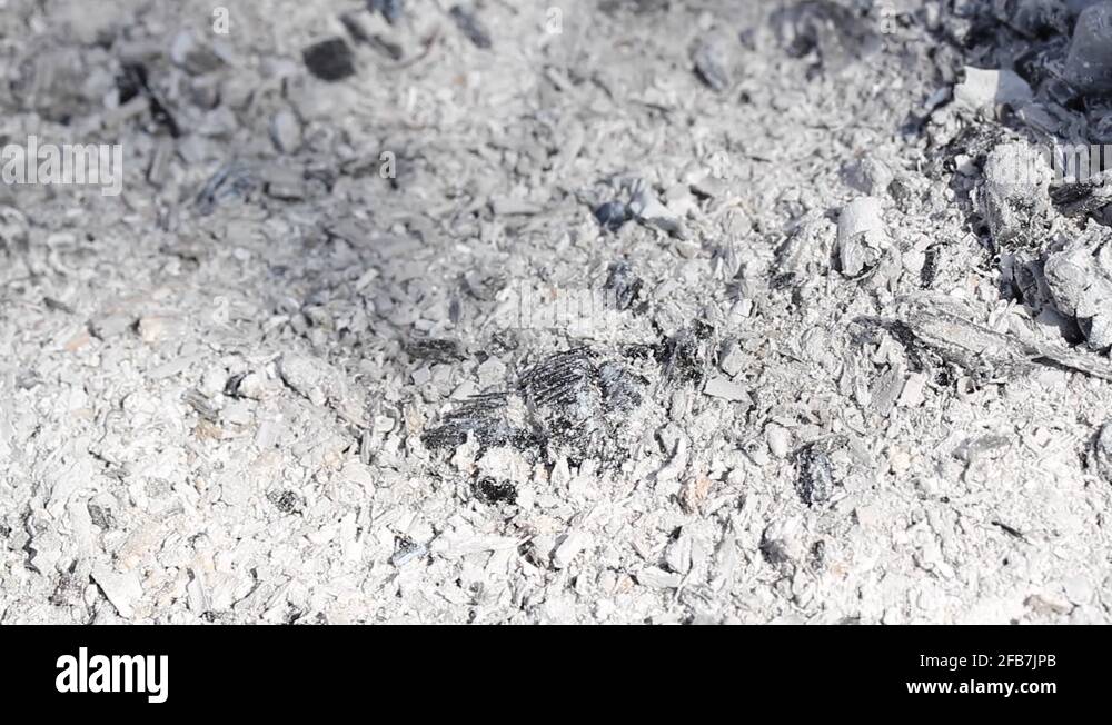 Ash grey texture Stock Videos & Footage - HD and 4K Video Clips - Alamy