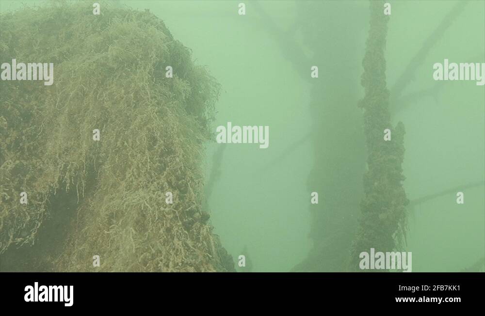 Underwater dam Stock Videos & Footage - HD and 4K Video Clips - Alamy