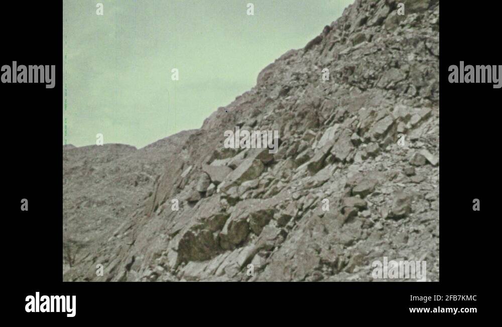 1970s: Pan across hillside to tree. View of tree. Low angle pan of ...
