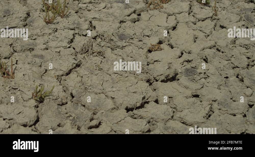 Summer dry cracks soil Stock Videos & Footage - HD and 4K Video Clips ...