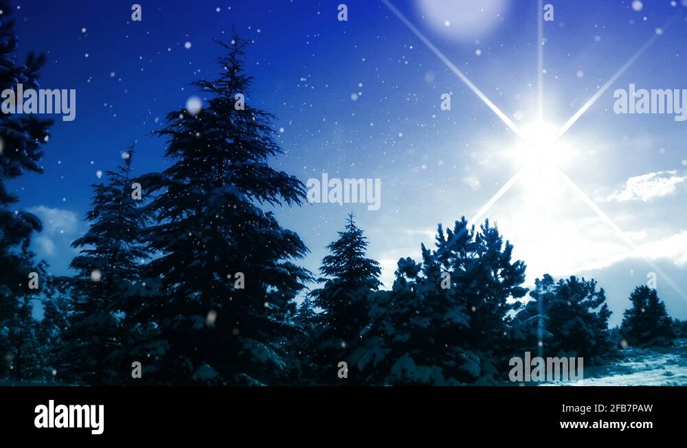 Snow Forest realistic animation ( Series 2 - Version from 1 to 7 Stock ...