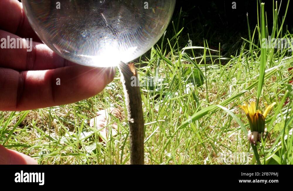 Broken glass grass Stock Videos & Footage - HD and 4K Video Clips - Alamy