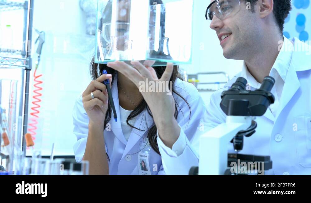 Scientist observing behavior experiment animals in lab. Rats were used ...