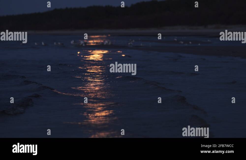 Big huge Moon illuminates the sea with a moon light trail - 4K ...