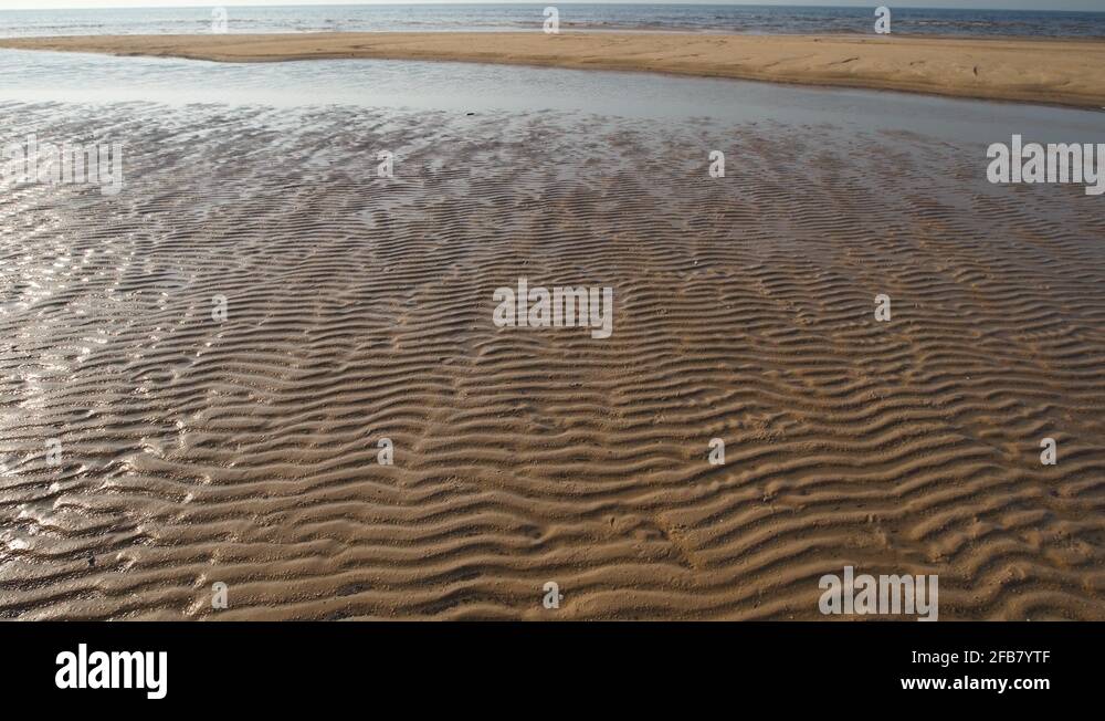 Curved ribs Stock Videos & Footage - HD and 4K Video Clips - Alamy